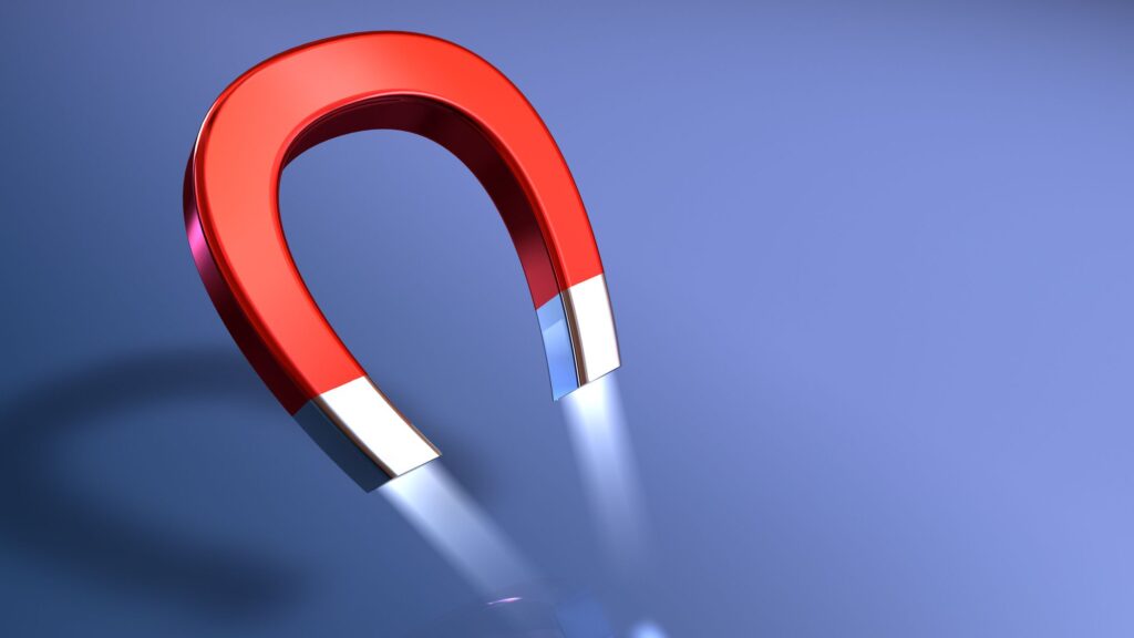 The Powerful Pull of the Prestige Magnet - GREGG VANOUREK