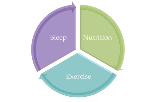 Exercise and Movement for Health, Wellness, and Great Work - GREGG VANOUREK