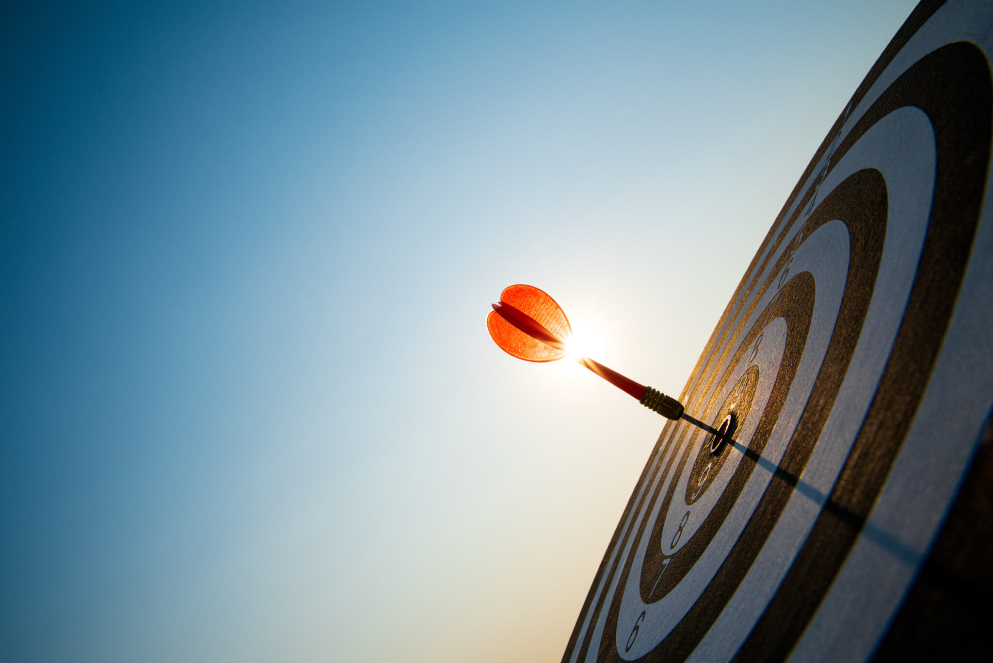 The Benefits of Setting and Pursuing Goals - GREGG VANOUREK